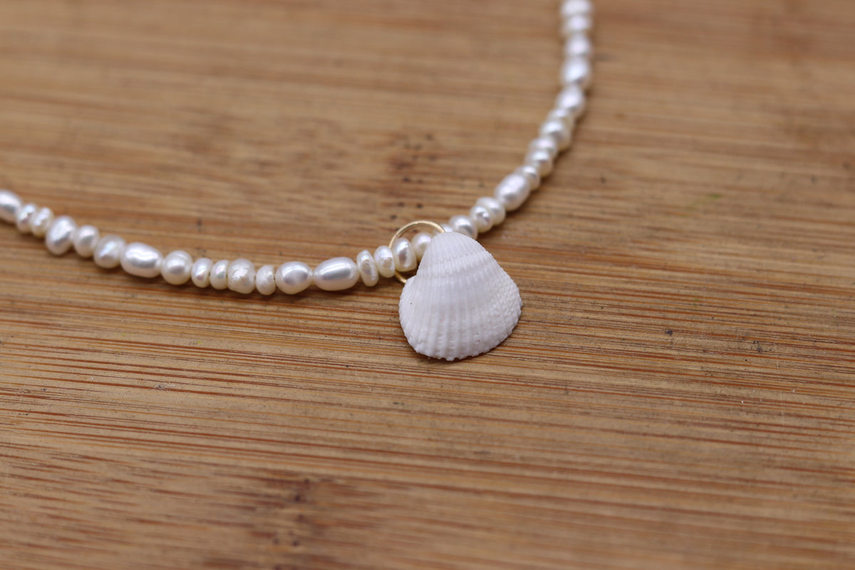 Mini Rose Clam Seashell Pearl Necklace – ROOTSSEA
